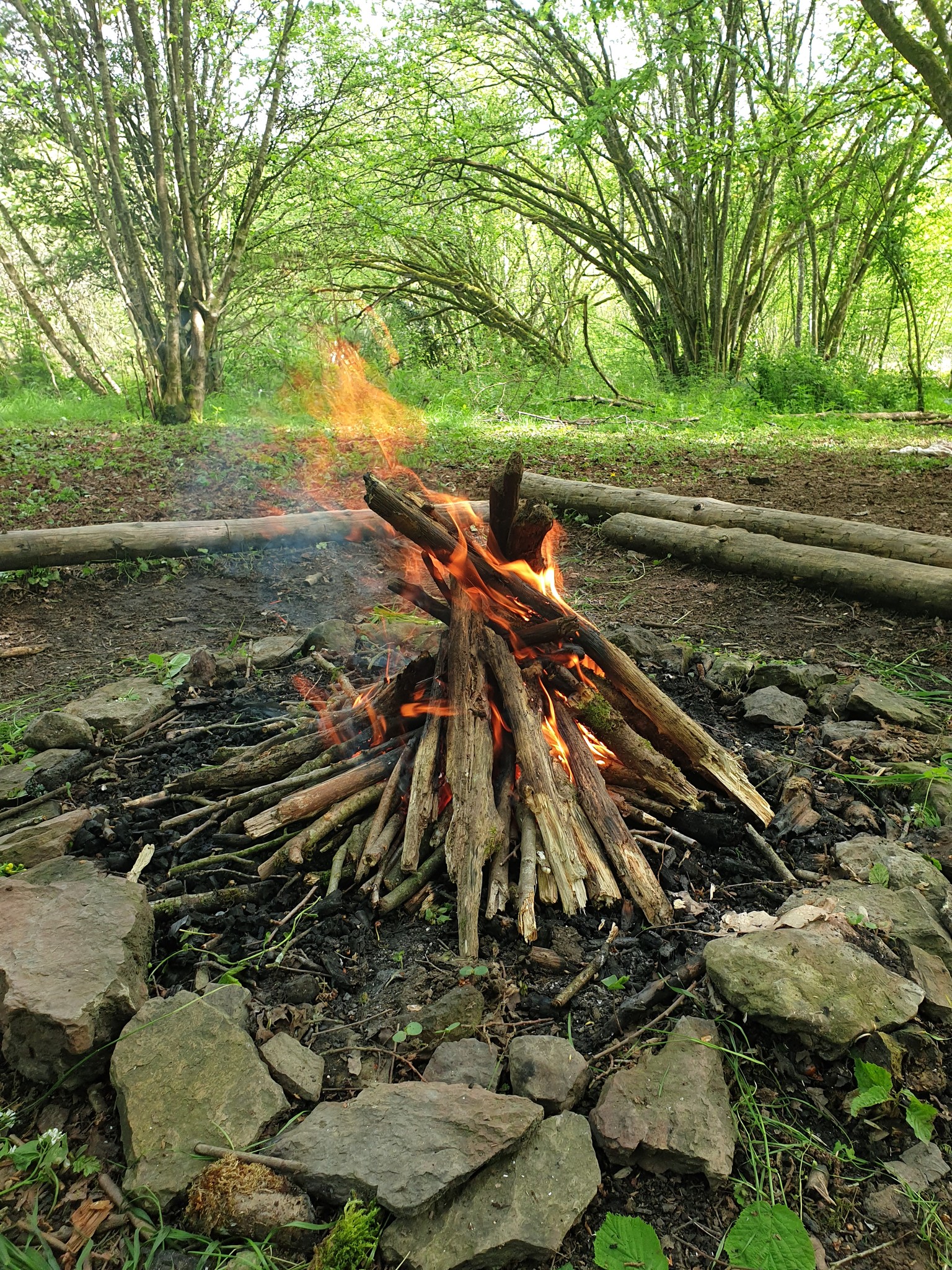 Feux follets | Réseau IDée